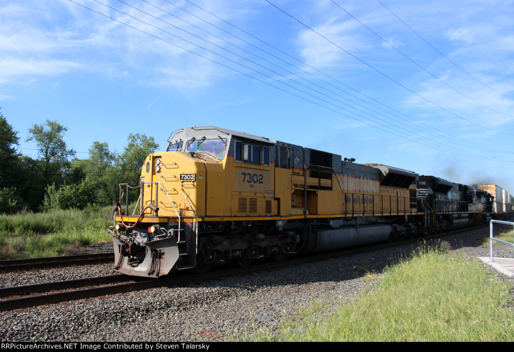NS 7302